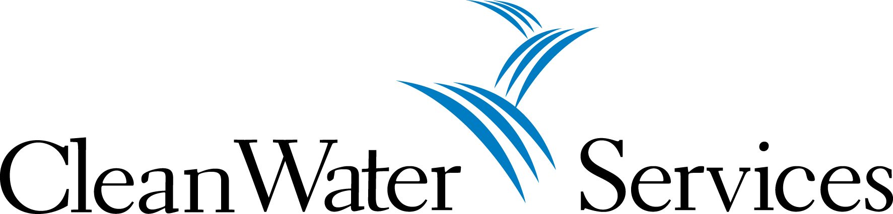 logo-cws | The Rueck Company